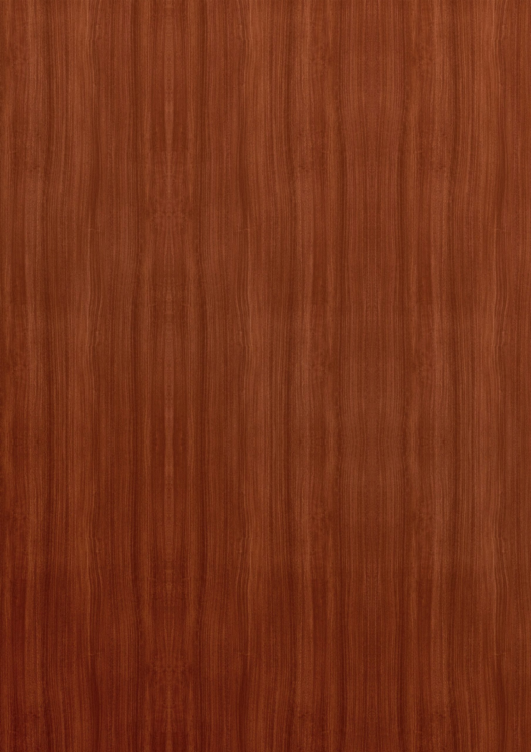 PELIKANO SAPELLI RH – Sipfsa